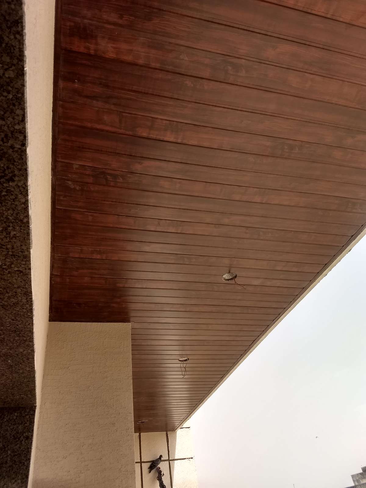 Ceiling Designs by Interior Designer sardar kundara, Jaipur | Kolo